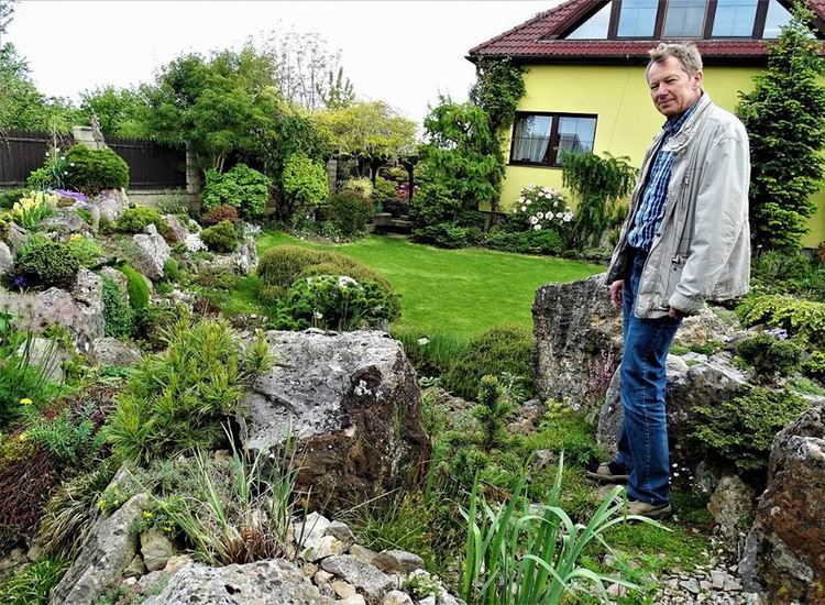 8 Australian Extensions Bring the Garden Into the House - U Move Homes